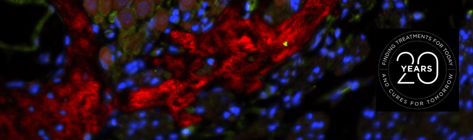 About Us - Ear Science Institute Australia